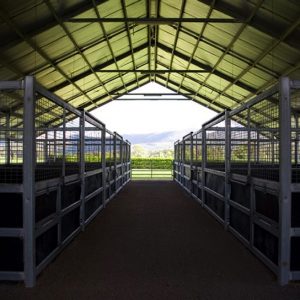 Welcome – Parsons Creek Farm
